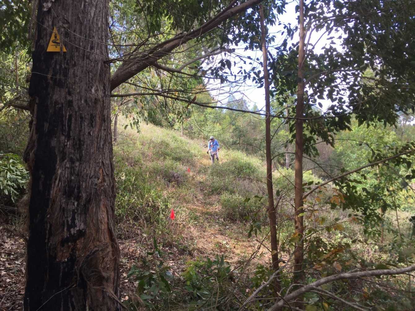 Track Realignments Process… it’s a long road - Bibbulmun Track Foundation