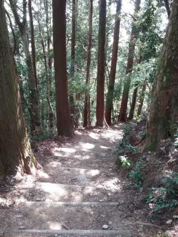 Shikoku 88 Temples Walk, Japan - Bibbulmun Track Foundation