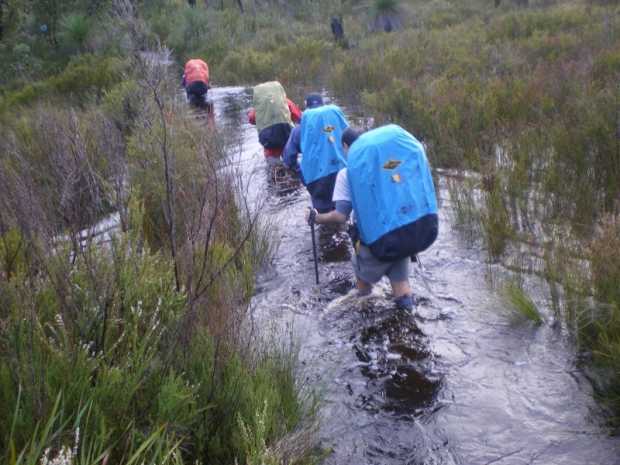 Northcliffe - Bibbulmun Track Foundation