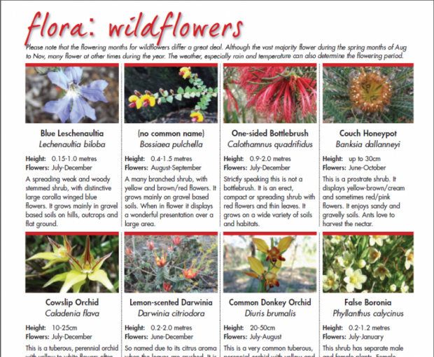 Flora & Fauna - Bibbulmun Track Foundation