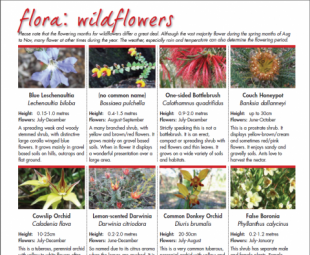 Flora & Fauna - Bibbulmun Track Foundation