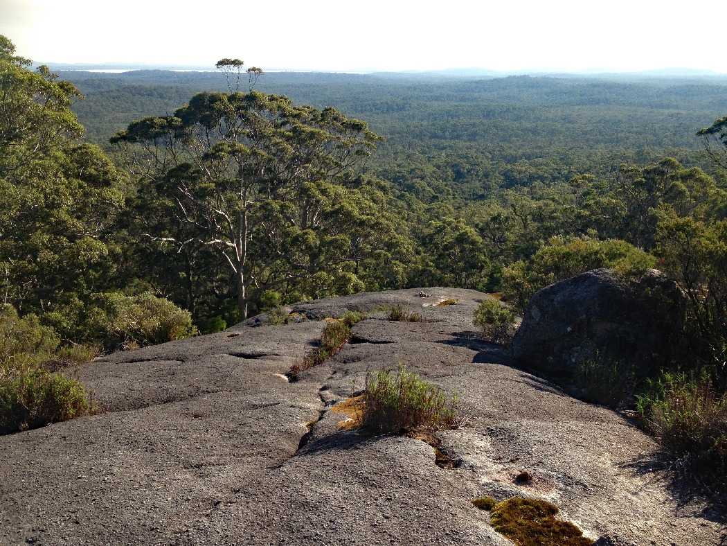 Five years around Mount Chance - Bibbulmun Track Foundation